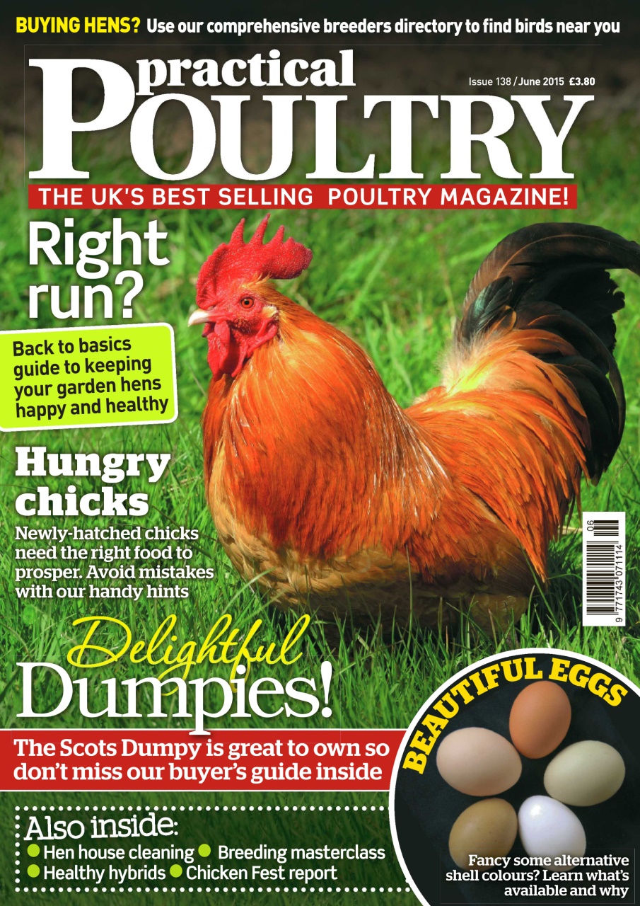 Practical Poultry Magazine - No.138 Delightful Dumpies Back Issue