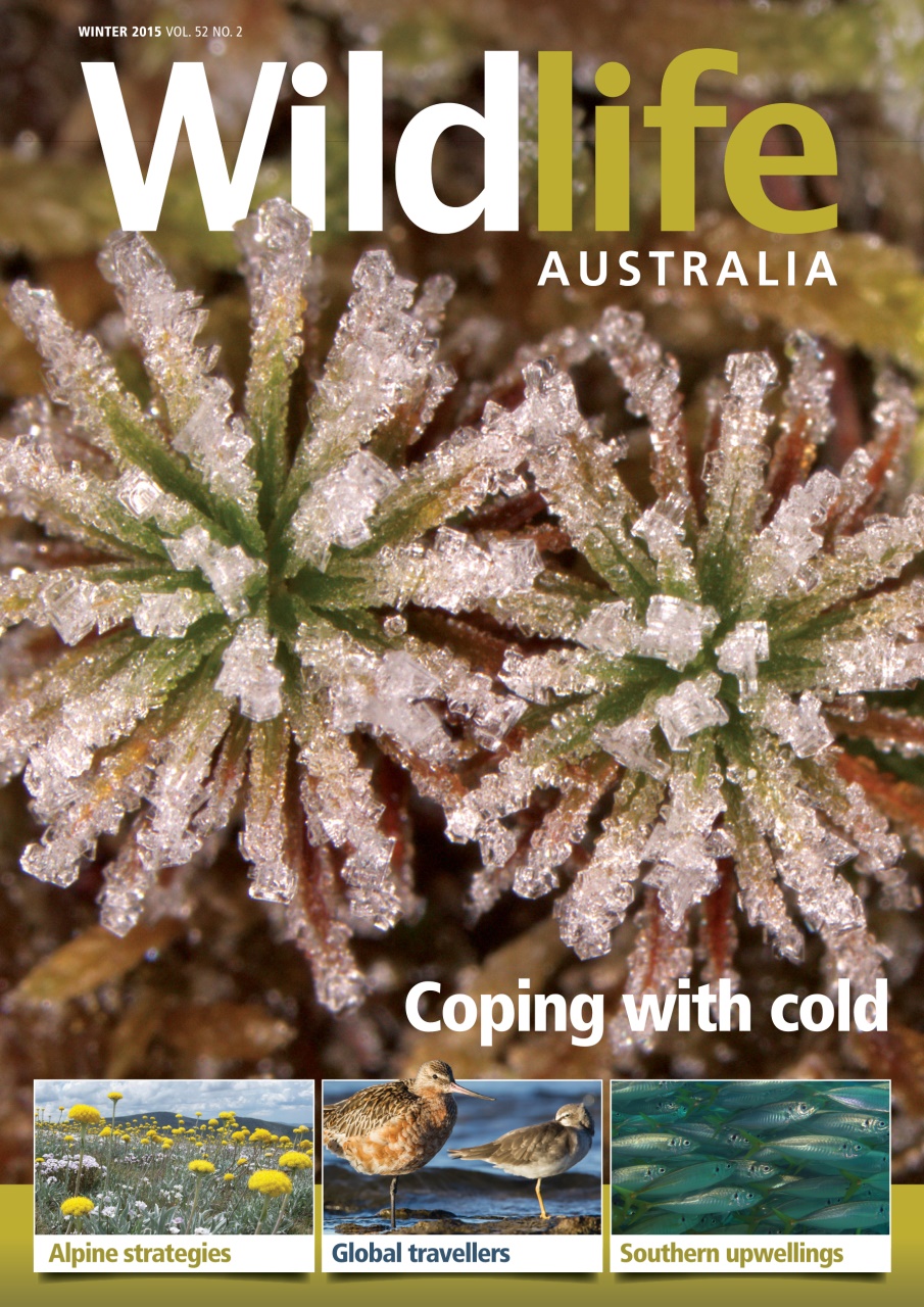 Wildlife Australia Magazine - Wildlife Australia Winter 2015 Back Issue