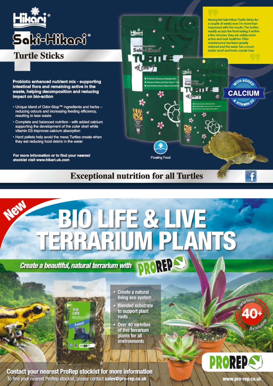 Practical Reptile Keeping Magazine - No. 77 Arboreal Alligator Lizards ...