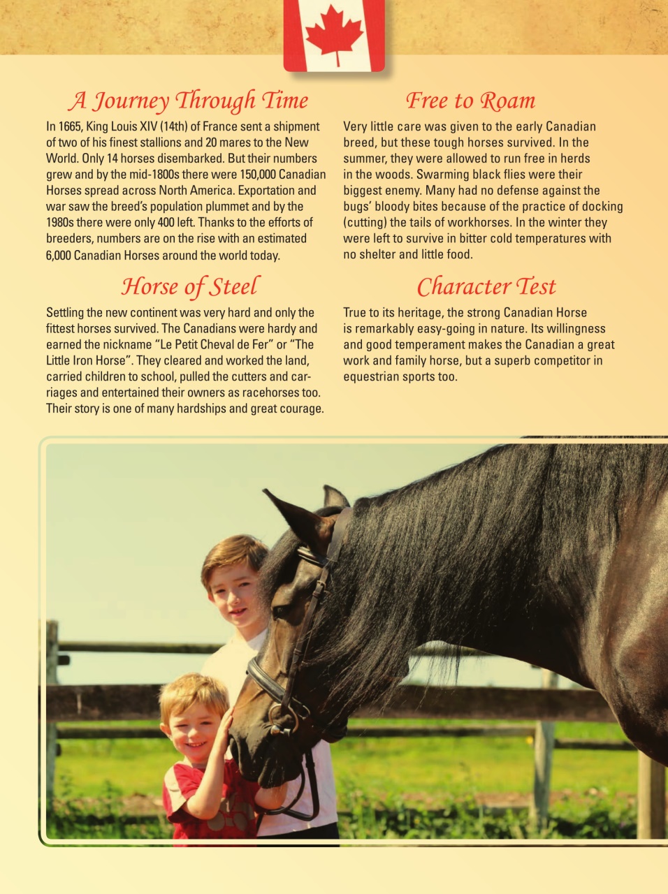 Blaze Magazine For Horse Crazy Kids - Issue No. 49 Summer 2015 Back Issue