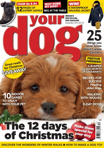 Your Dog Magazine - Your Dog Magazine December 2015 Back Issue
