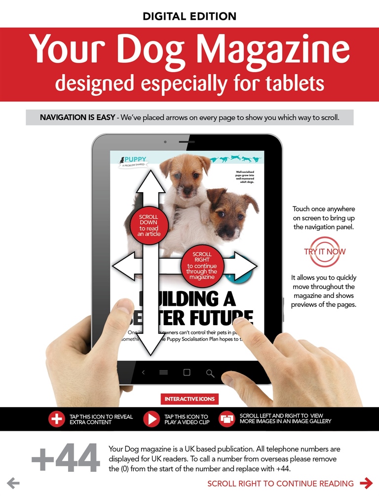 Your Dog Magazine - Your Dog Magazine FREE sample issue Special Issue