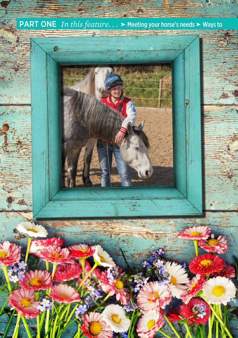 Horse&Rider Magazine - UK equestrian magazine for Horse and Rider ...