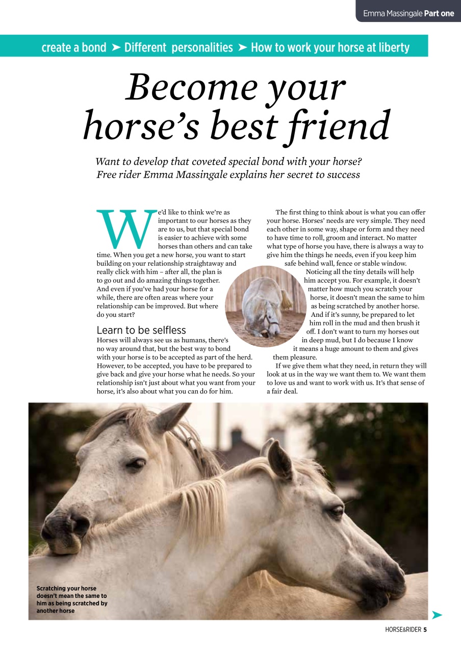 Horse&Rider Magazine - UK equestrian magazine for Horse and Rider ...