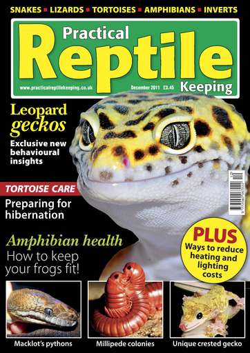 Practical Reptile Keeping Magazine - No.31 Leopard Geckos Back Issue