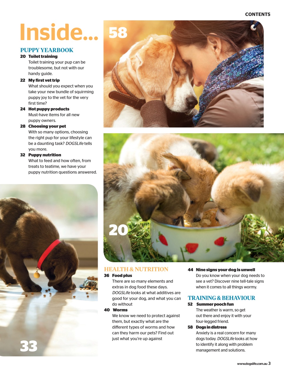 Dogs Life Magazine - Jan/Feb Issue#135 Back Issue