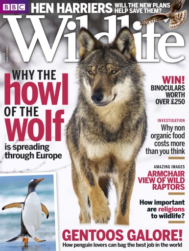 BBC Wildlife Magazine - March 2016 Back Issue