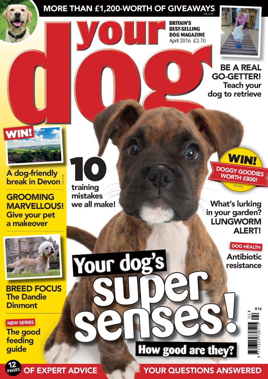Your Dog Magazine - Your Dog Magazine April 2016 Back Issue