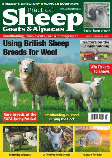 The Smallholder Magazine - No. 12 Using British Sheep Breeds For Wool ...