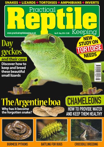 Practical Reptile Keeping Magazine - No. 87 Day geckos Back Issue