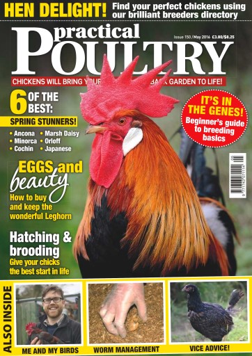 Practical Poultry Magazine - No. 150 Eggs & Beauty Back Issue