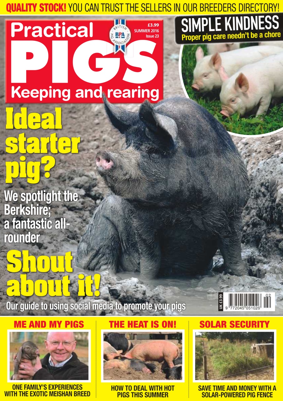 Practical Pigs Magazine - No. 23 Ideal Starter Pig? Back Issue