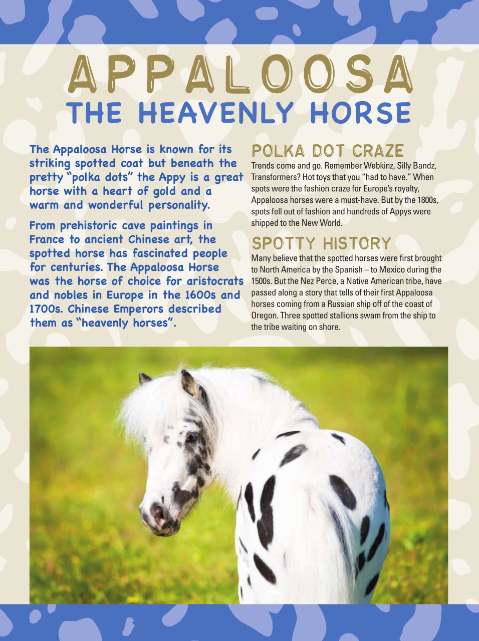 Blaze Magazine For Horse Crazy Kids - Issue No. 52 May 2016 Back Issue
