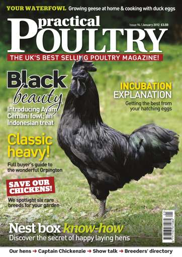 Practical Poultry Magazine - Practical Poultry January 2012 Back Issue