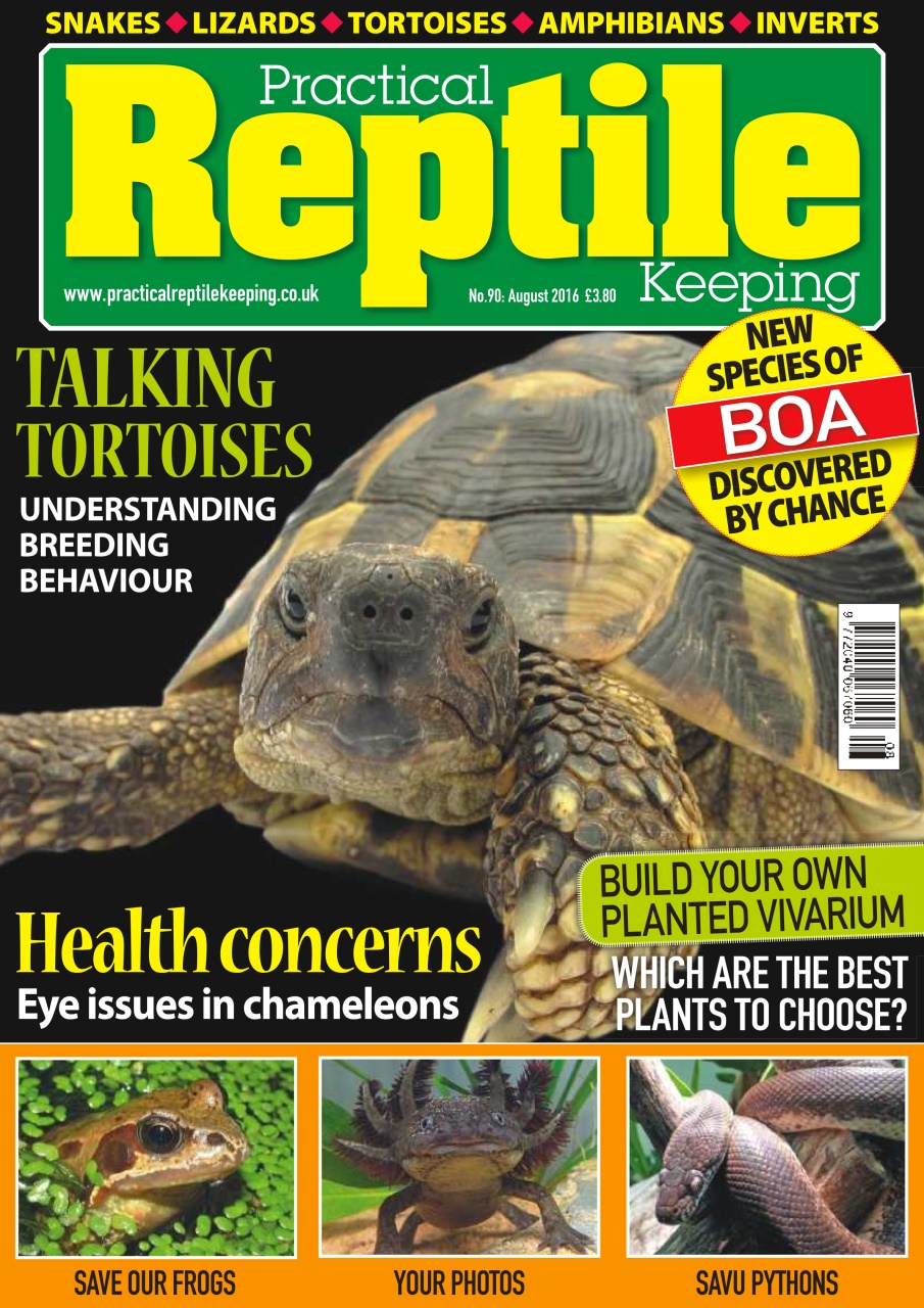 Practical Reptile Keeping Magazine - No. 90 Talking Tortoises Back Issue
