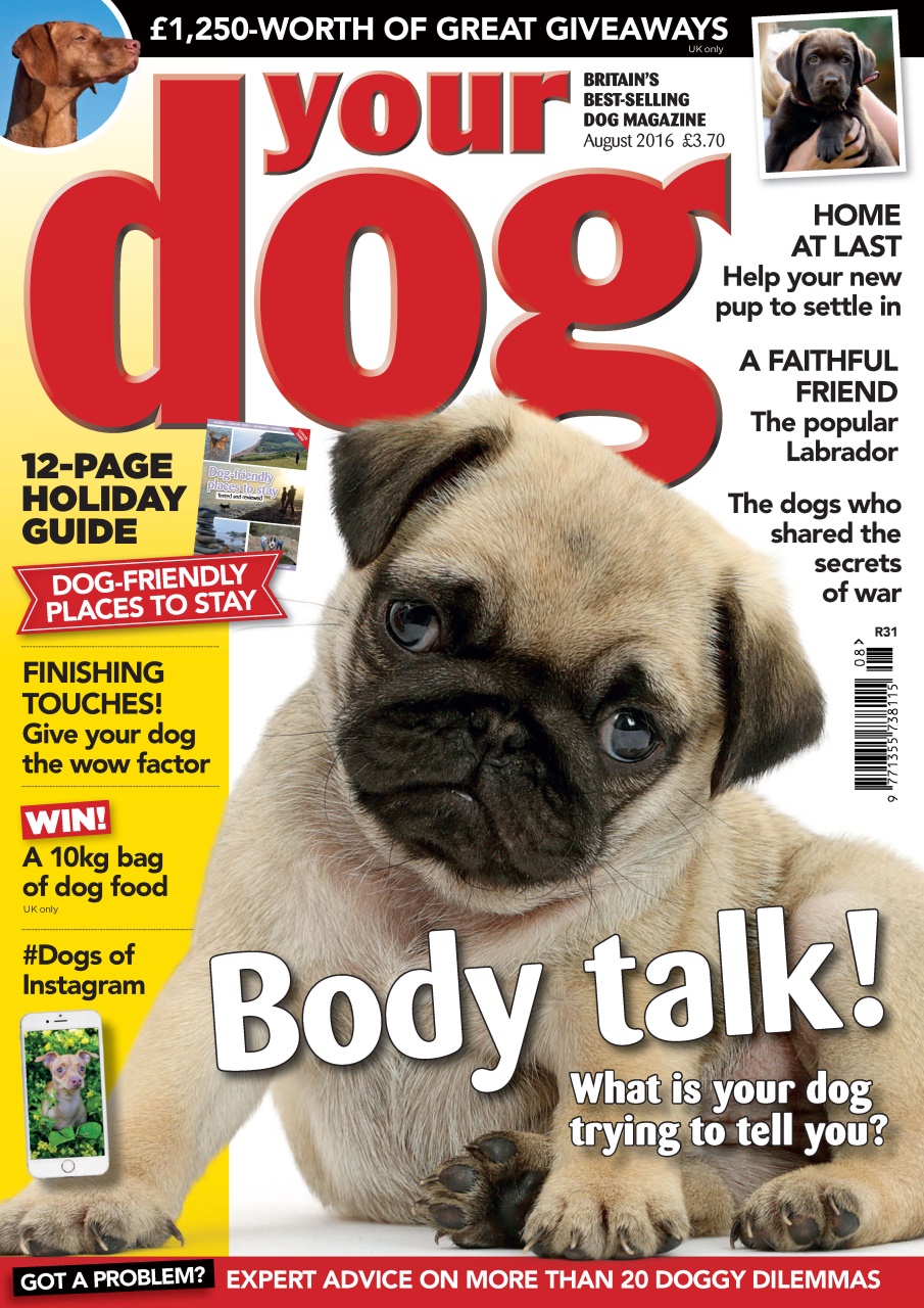 Your Dog Magazine - Your Dog Magazine August 2016 Back Issue