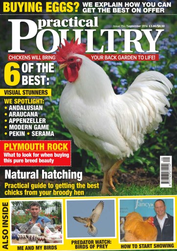 Practical Poultry Magazine - No. 154 Natural Hatching Back Issue