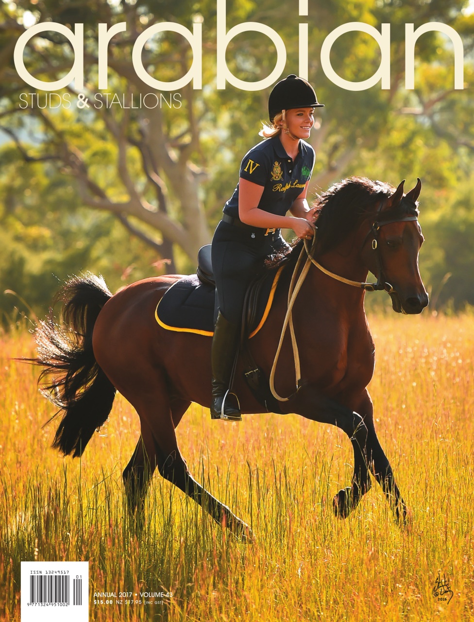 Arabian Studs & Stallions Magazine - Annual 2017 - Volume 43 Back Issue
