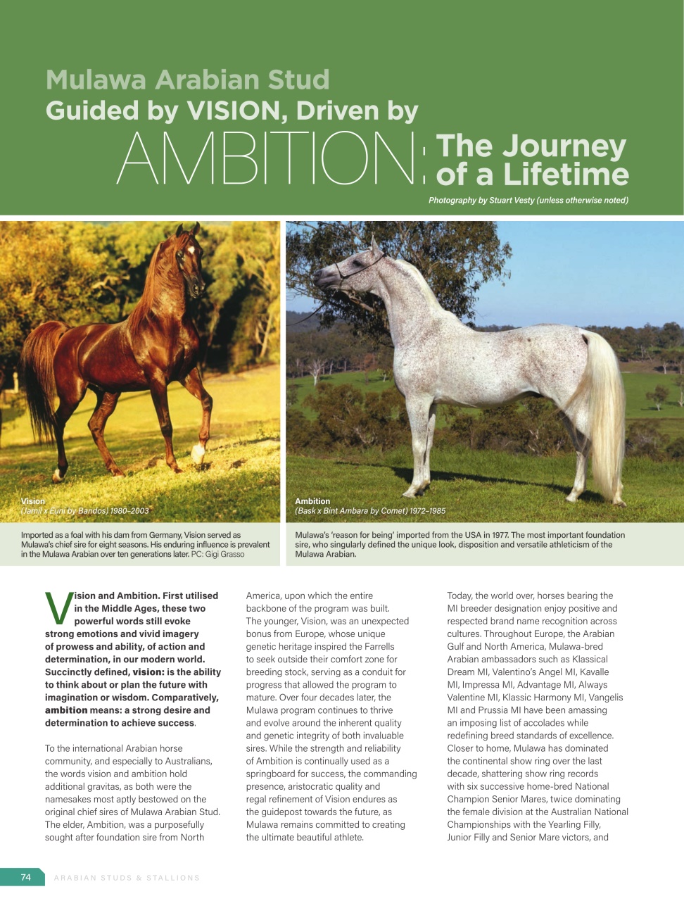 Arabian Studs & Stallions Magazine - Annual 2017 - Volume 43 Vorige editie