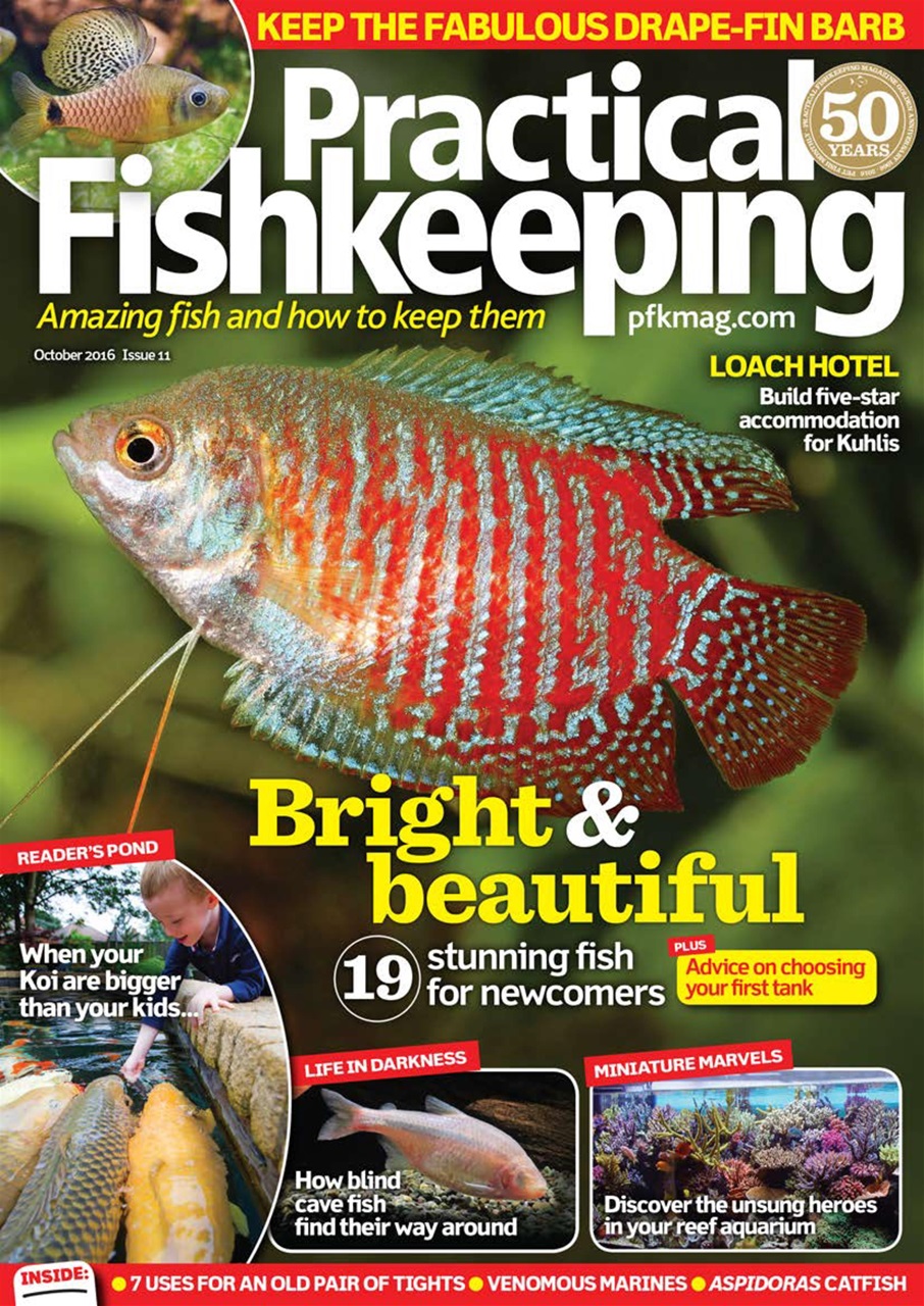 Practical Fishkeeping Magazine - October 2016 Back Issue
