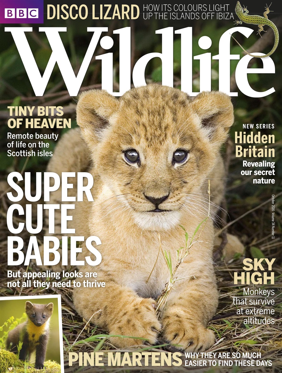 BBC Wildlife Magazine - October 2016 Back Issue