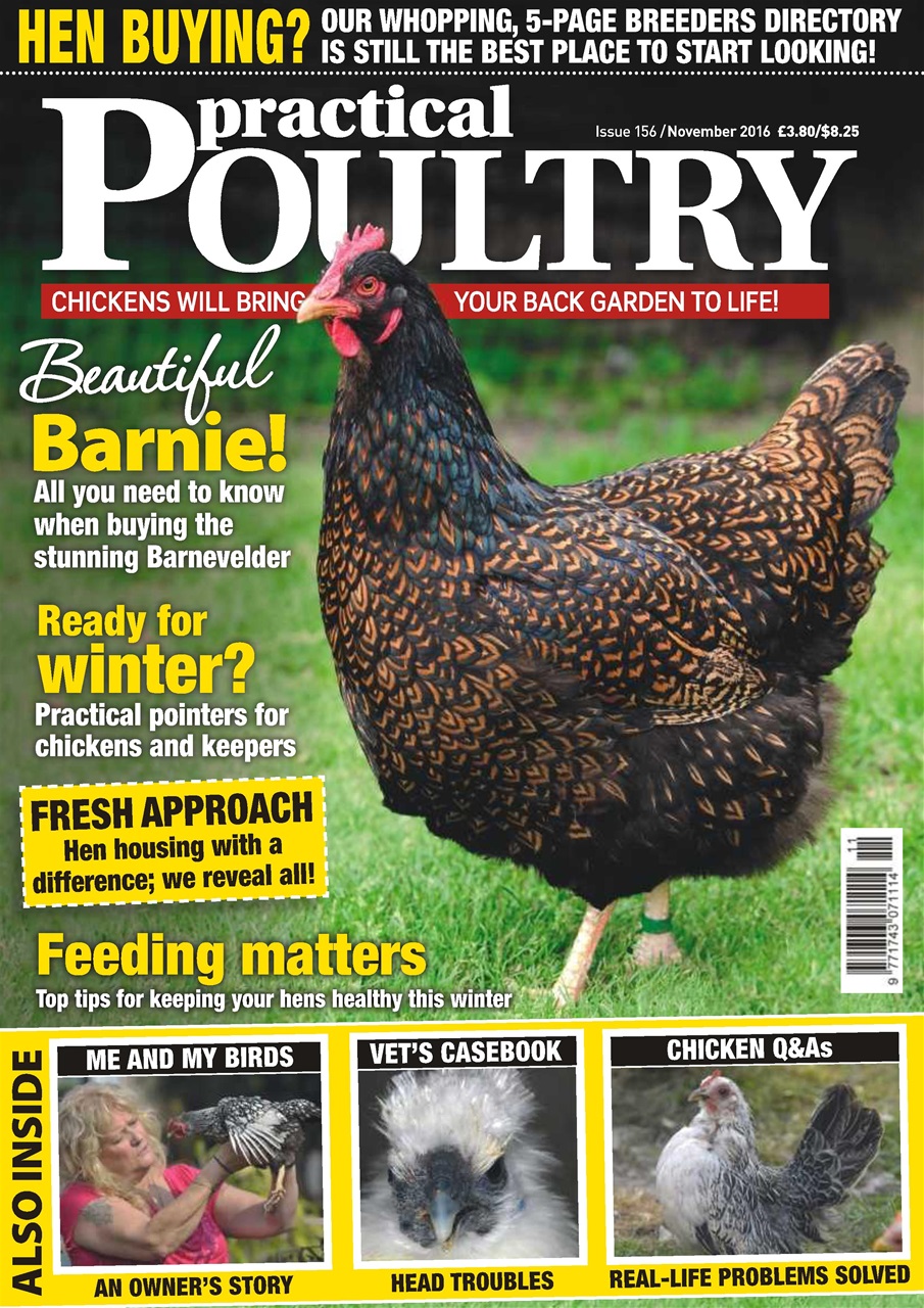 Practical Poultry Magazine - No. 156 Beautiful Barnie! Back Issue