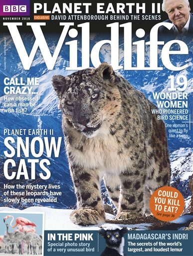 BBC Wildlife Magazine - November 2016 Back Issue