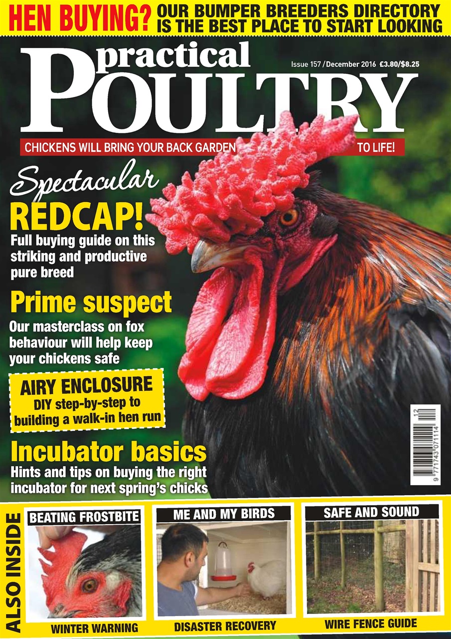 Practical Poultry Magazine - No. 157 Spectacular Redcap! Back Issue