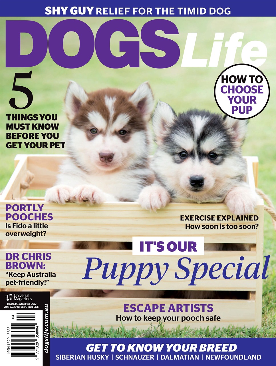 Dogs Life Magazine - Dec Issue#141 2016 Back Issue