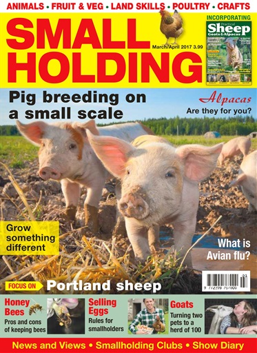 The Smallholder Magazine - Issue 1 Back Issue