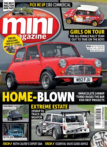 Mini Magazine - No. 265 Home-Bblown Back Issue