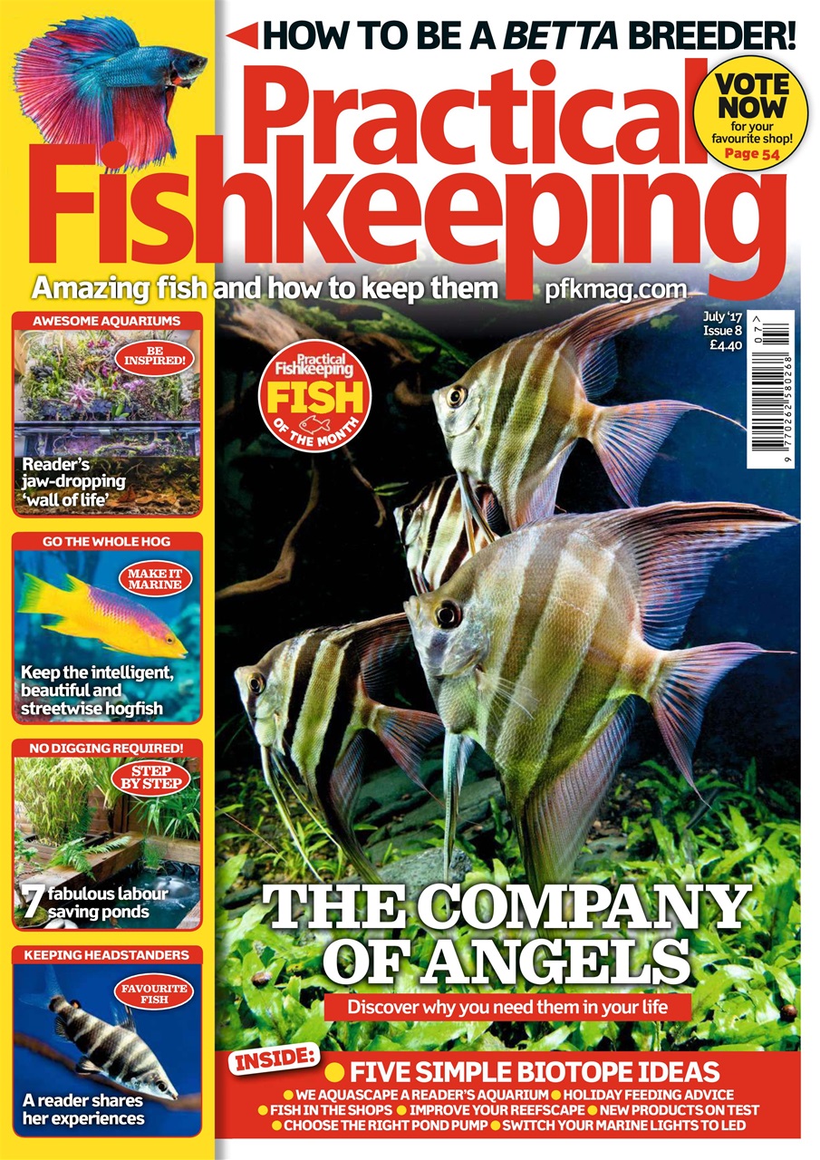 Practical Fishkeeping Magazine - July 2017 Back Issue
