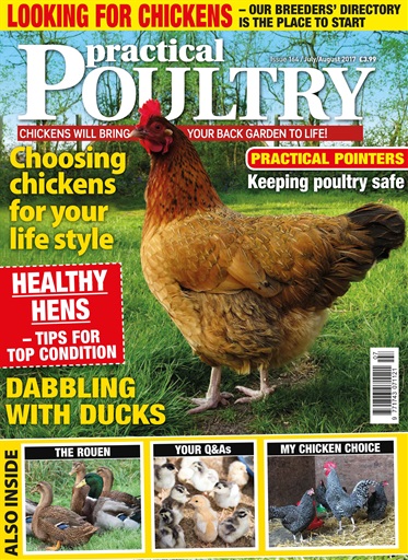 Practical Poultry Magazine - No. 164 Looking for Chickens Back Issue