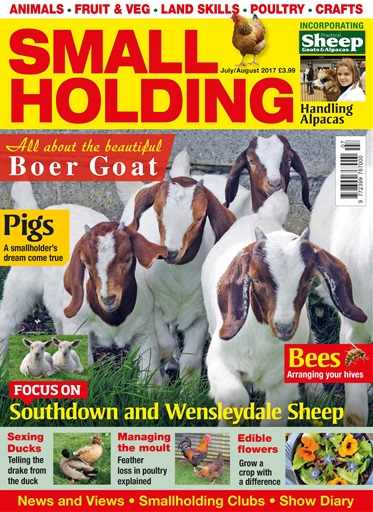 The Smallholder Magazine - Issue 3: Back Issue