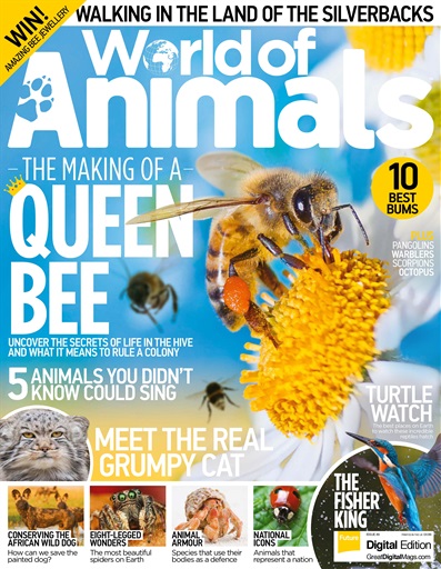 World of Animals Magazine - Issue 49 Back Issue