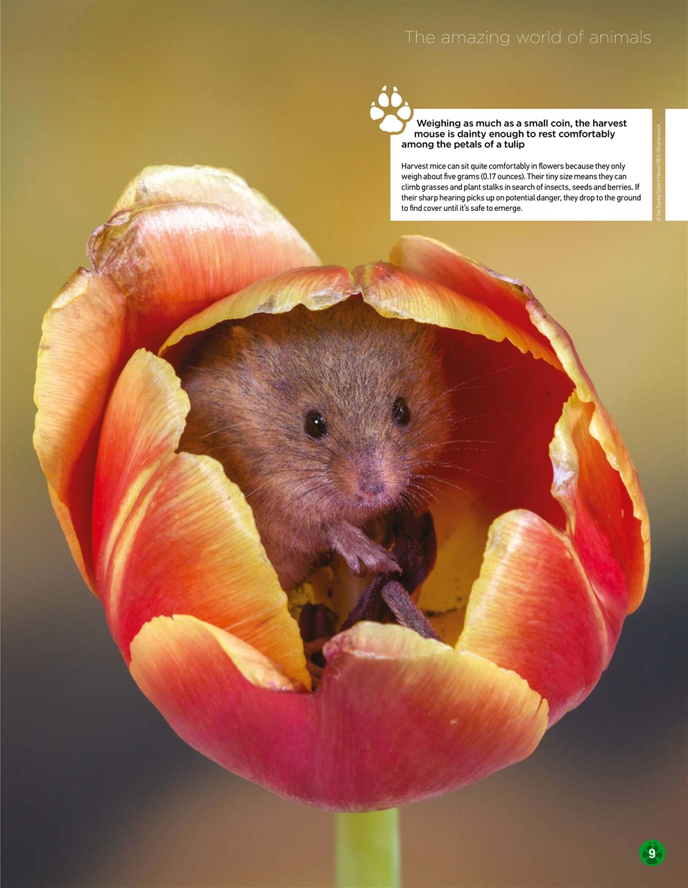 World of Animals Magazine - Issue 49 Back Issue