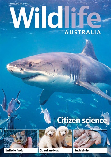 Wildlife Australia Magazine - Spring 2017 Back Issue