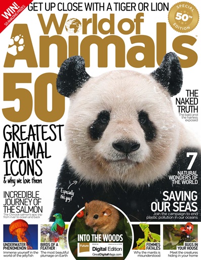 World of Animals Magazine - Issue 50 Back Issue
