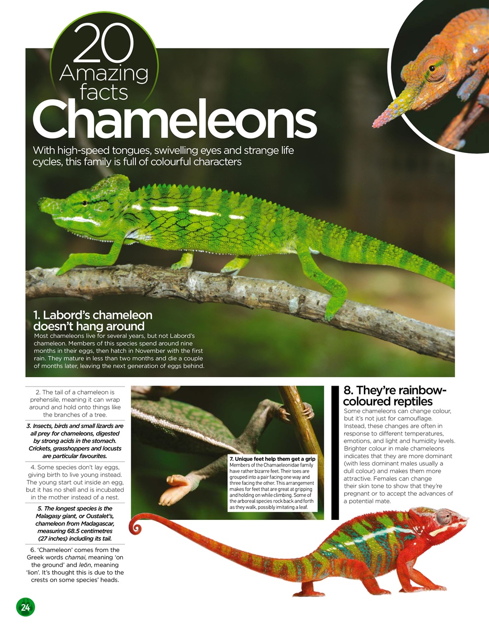World of Animals Magazine - Issue 50 Back Issue