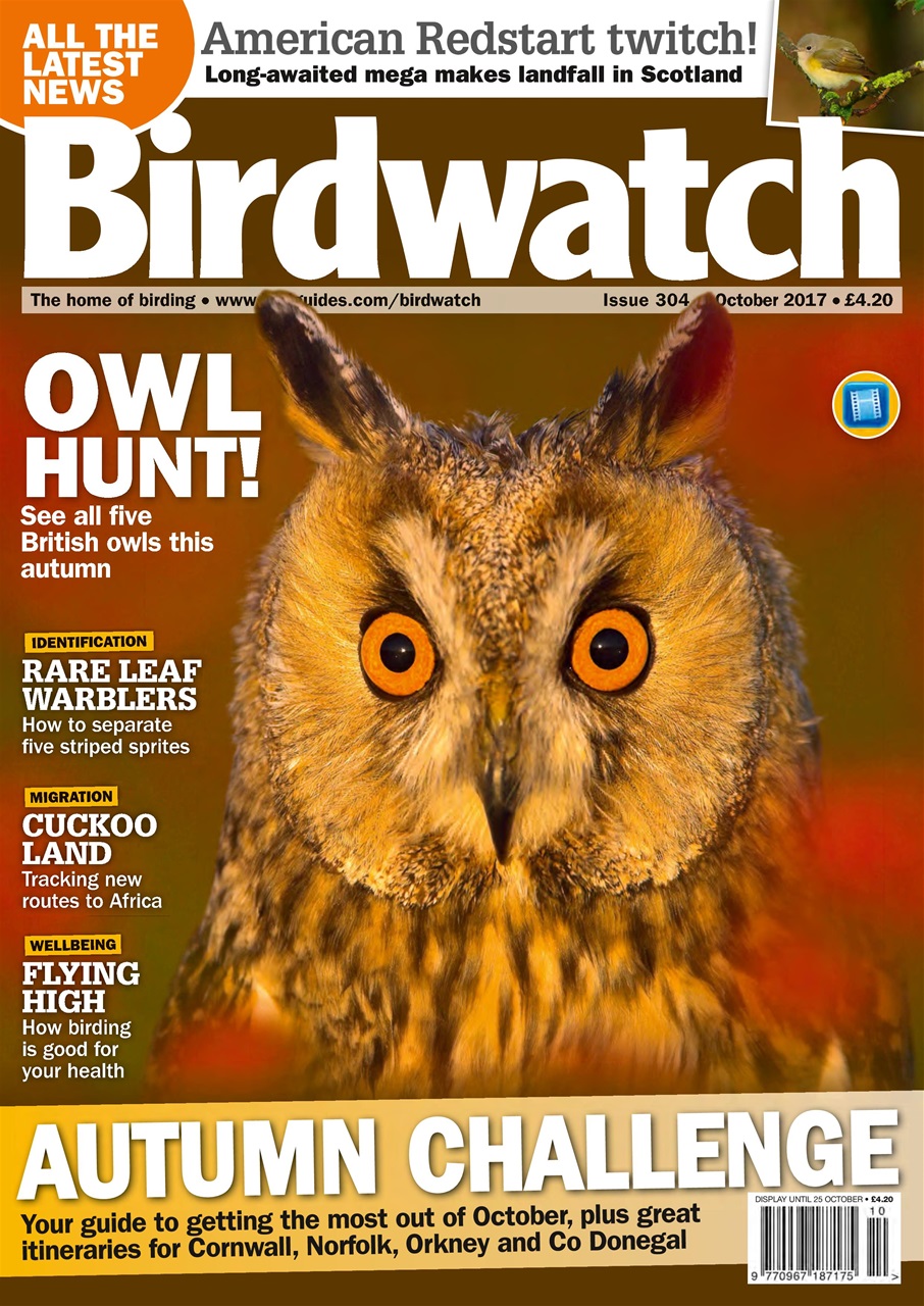 Birdwatch Magazine - October 2017 Back Issue