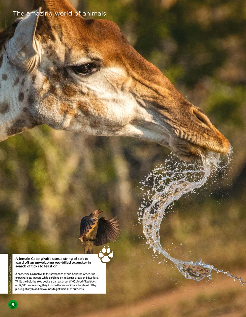 World of Animals Magazine - Issue 51 Back Issue
