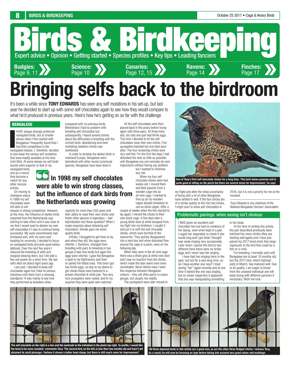 Cage & Aviary Birds Magazine - 25 October 2017 Back Issue