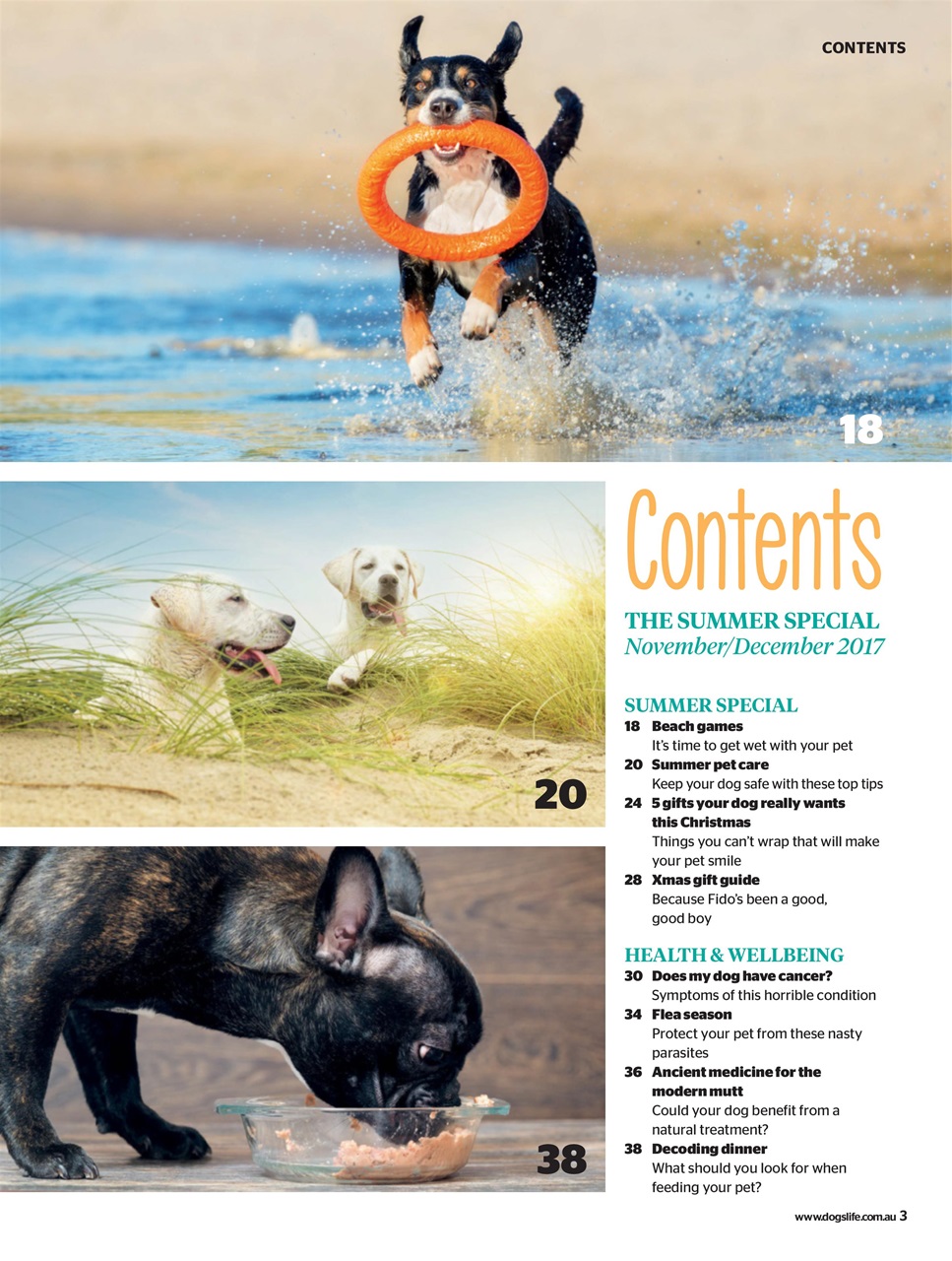 Dogs Life Magazine - Oct Issue#146 2017 Back Issue