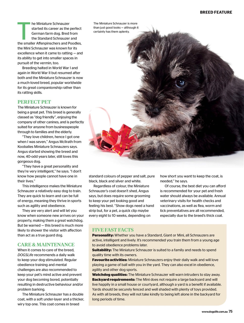 Dogs Life Magazine - Oct Issue#146 2017 Back Issue