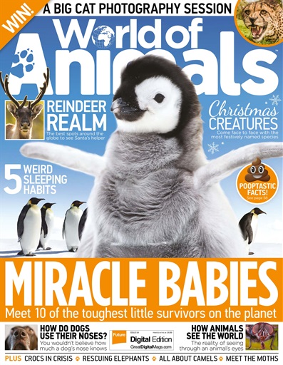 World of Animals Magazine - Issue 54 Back Issue