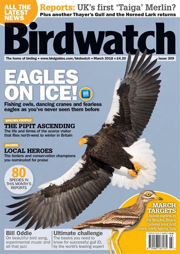 Birdwatch Magazine - March 2018 Back Issue