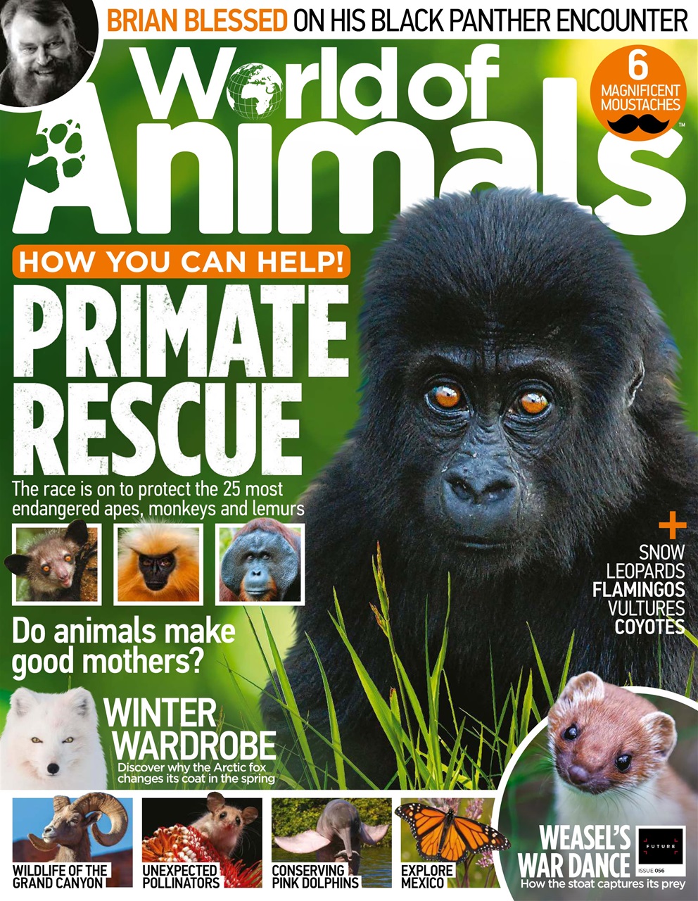 World of Animals Magazine - Issue 56 Back Issue