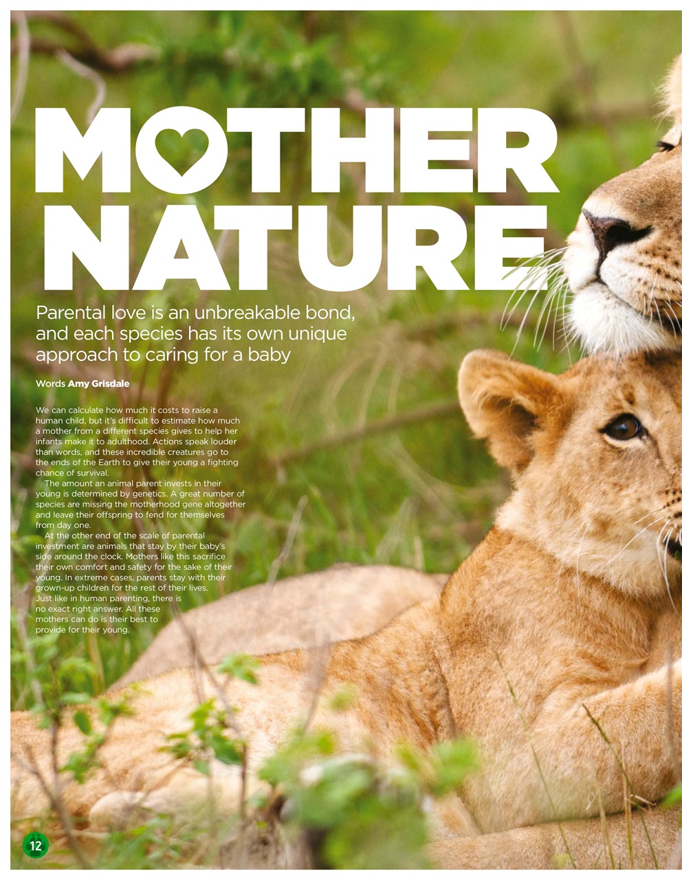 World of Animals Magazine - Issue 56 Back Issue