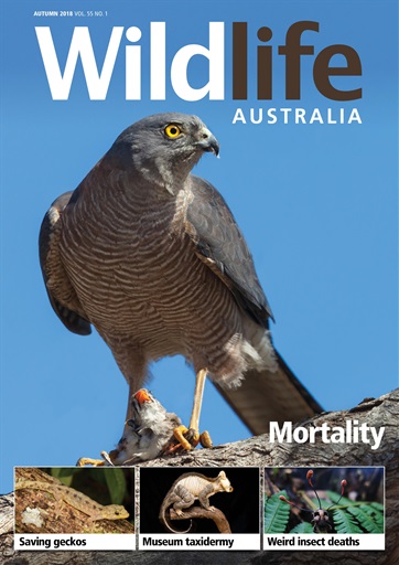 Wildlife Australia Magazine - Wildlife Australia Magazine Autumn 2018 ...