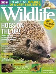 BBC Wildlife Magazine - June 2018 Subscriptions | Pocketmags